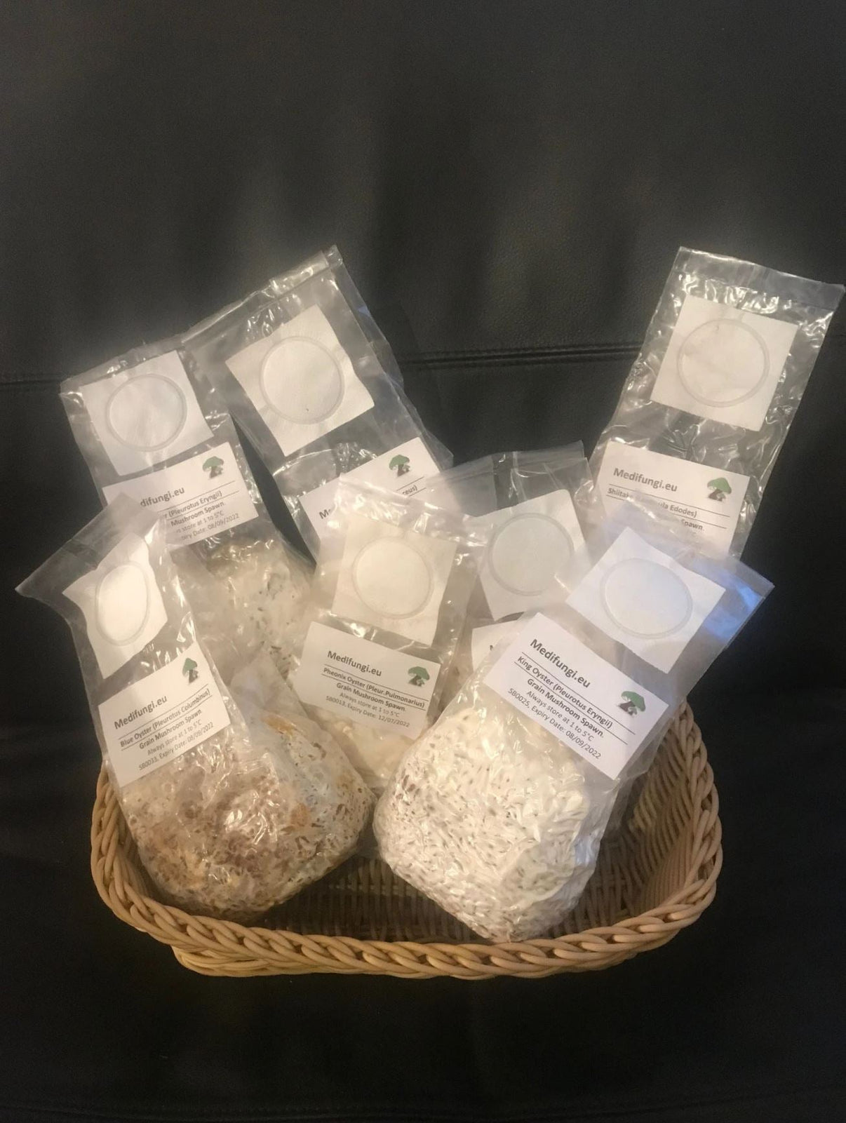 Best quality, fresh, mushroom mycelium spawn, on rye grain – Medifungi